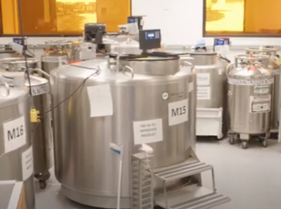 Your Trusted Partner For Drug Discovery and ADME-Tox In Vitro Models