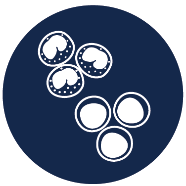 BioIVT Fresh Specimen Solutions