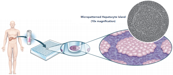 HUGM 2022 Virtual Event Page