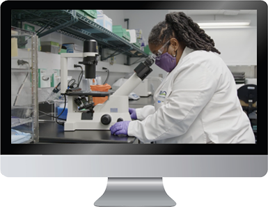 Cell Counting Using the Trypan Blue Exclusion Method Video - BioIVT