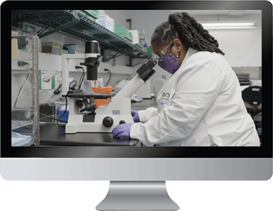 Cell Counting Using the Trypan Blue Exclusion Method Video - BioIVT