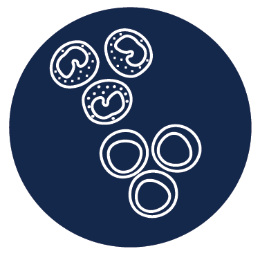 BioIVT Fresh Specimen Solutions