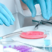 BioIVT Fresh Specimen Solutions