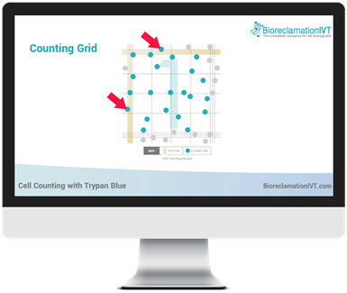 Cell Counting Using the Trypan Blue Exclusion Method Video - BioIVT